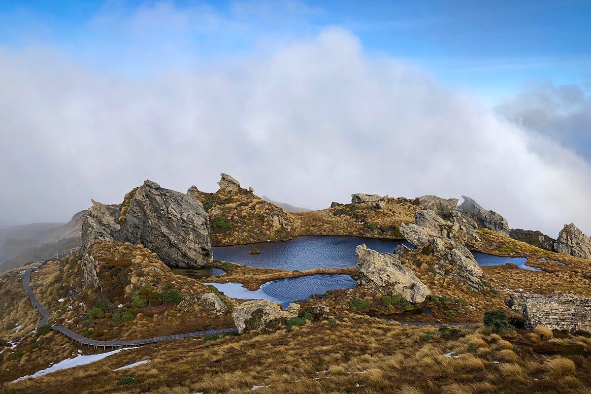 Hump Ridge Track Walk From Invercargill